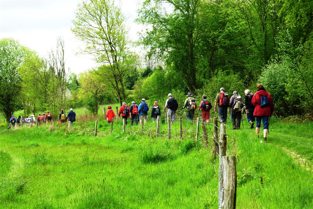 Randonnée accompagnée - Site officiel de la Mairie d'Orbec Site ...